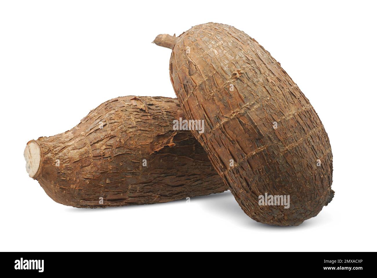 Cassava isolated on white background Stock Photo - Alamy