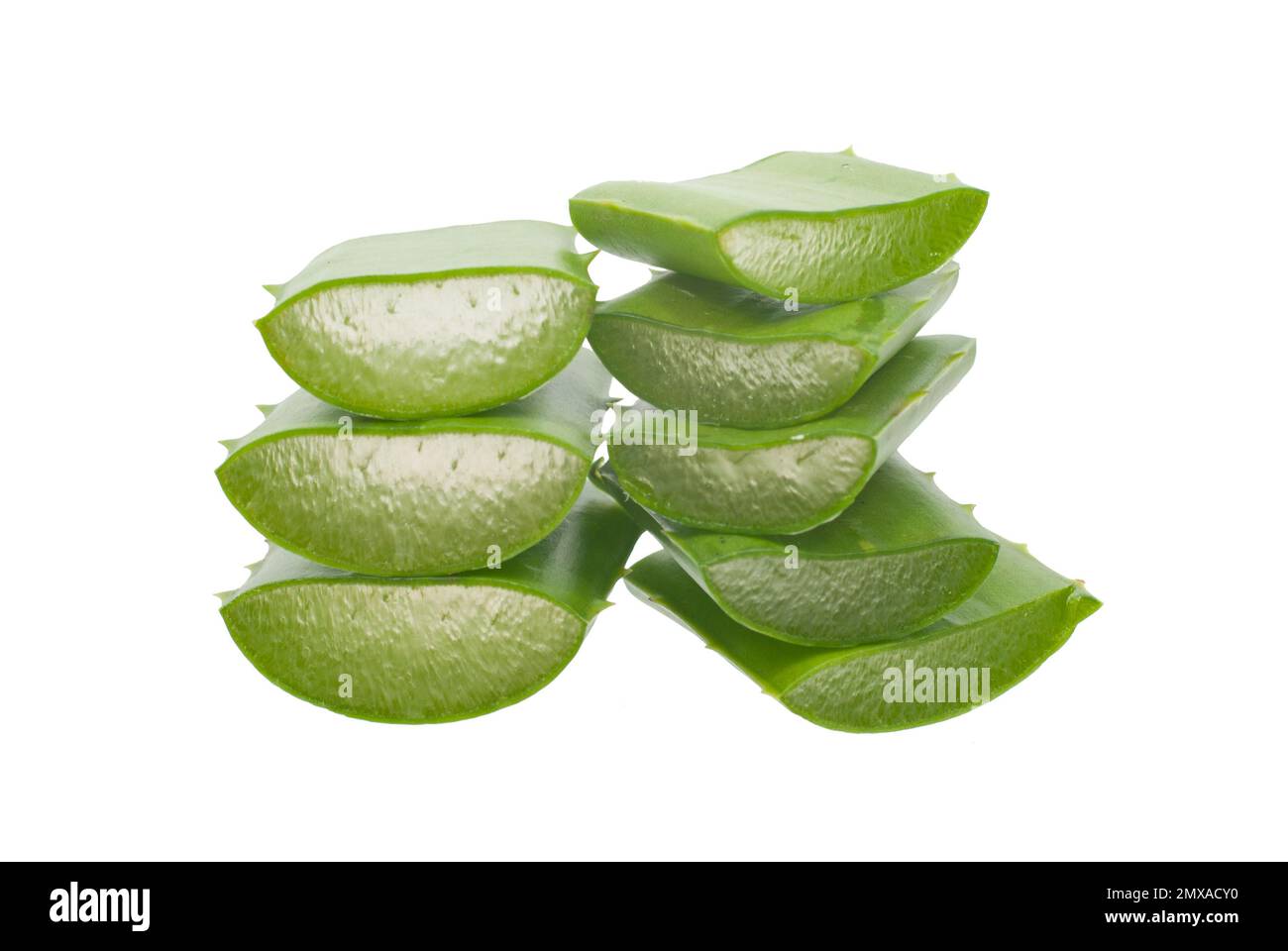 Aloe vera plant pattern isolated on white background Stock Photo - Alamy