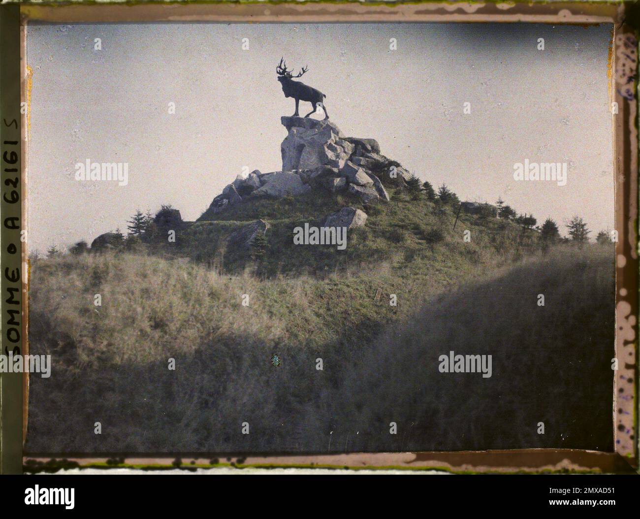 Animal represented fantastic animal sculpture commemoration war hi-res ...