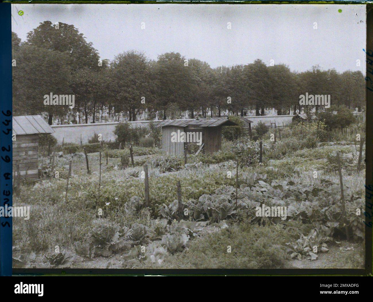 Gardens batignolles cemetery hi-res stock photography and images - Alamy