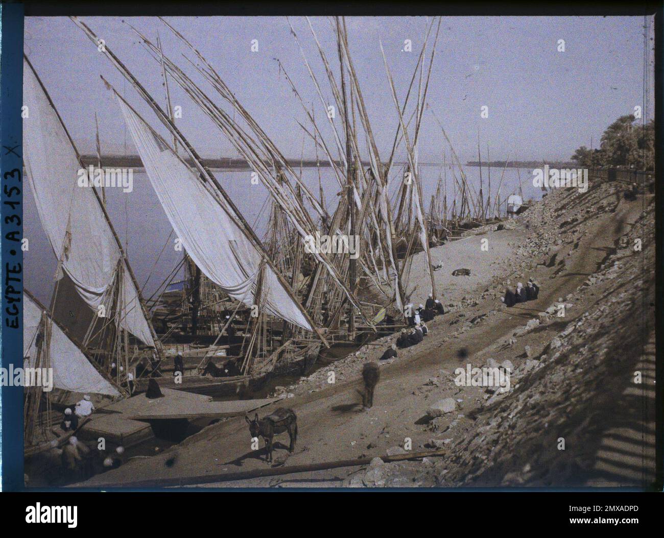 Louqsor, Egypt, Africa Bords du Nile , 1914 - Egypt - Auguste Léon ...