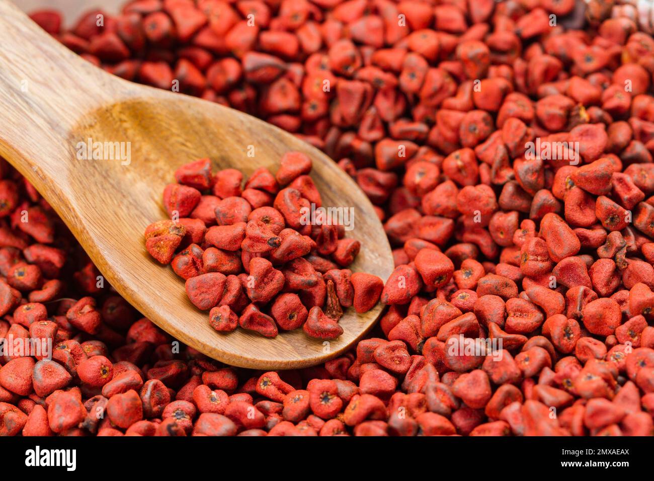 Achiote grains in container, typical condiment of South America, close ...