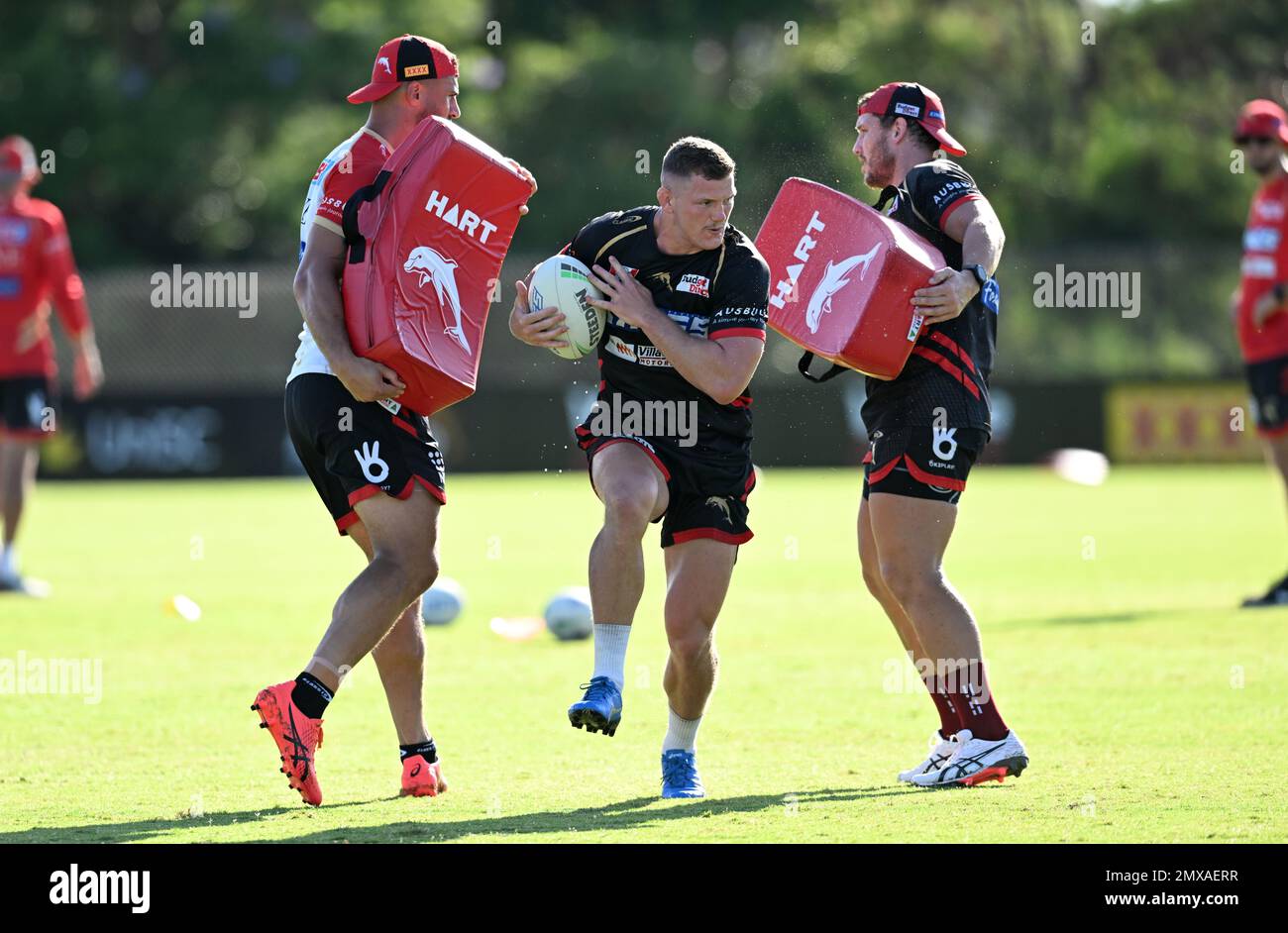 Tom Gilbert (centre) in action during a NRL Dolphins' training session ...