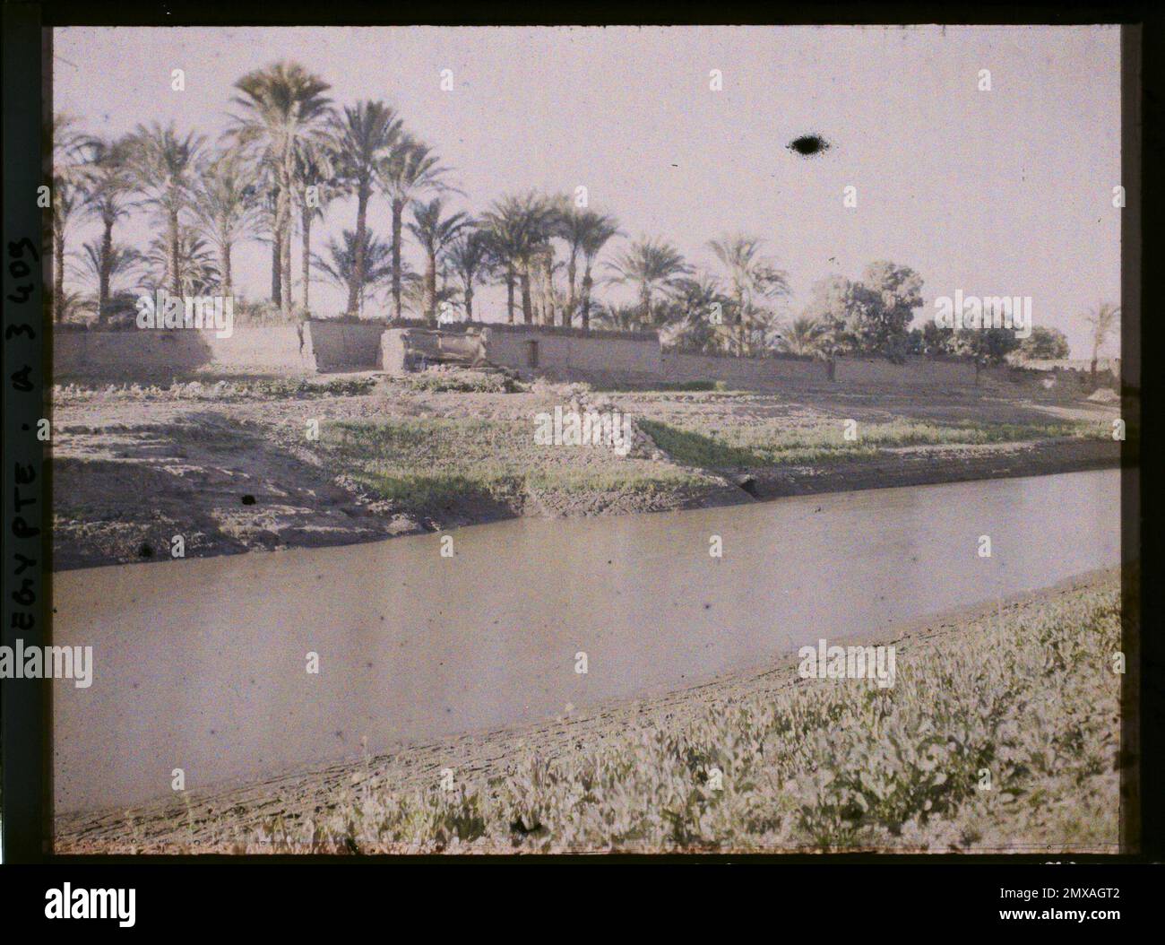 Louqsor, Egypt, Africa Bord of the Canal near the city , 1914 - Egypt ...