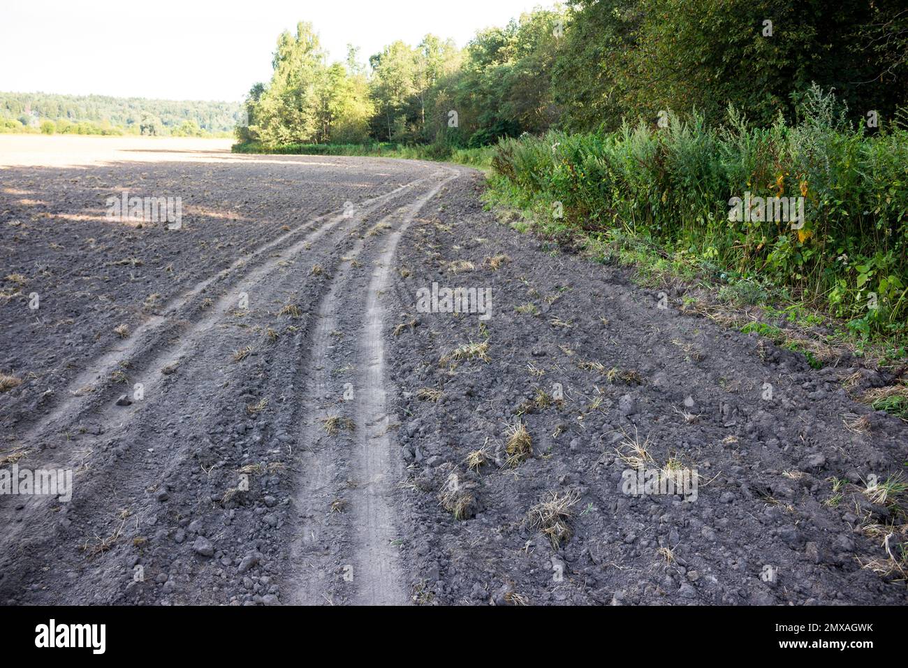 Gray soil on a plowed field - the location of the ancient settlement ...