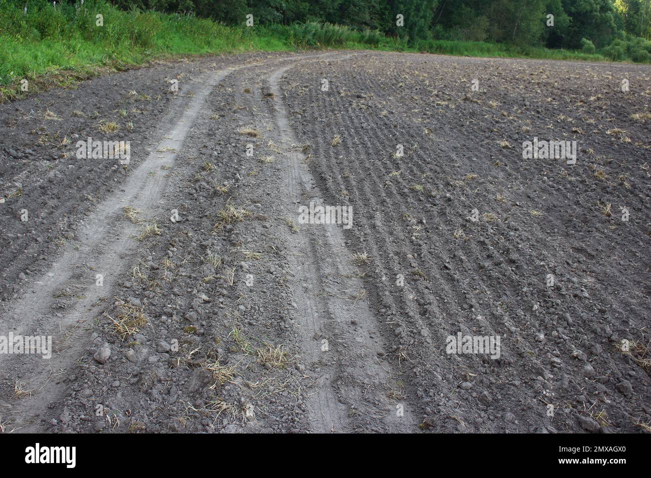 Gray soil on a plowed field - the location of the ancient settlement ...