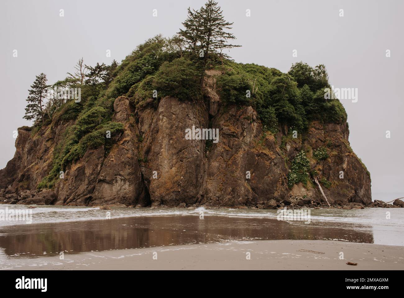 Olympic peninsula landscape hi-res stock photography and images - Alamy