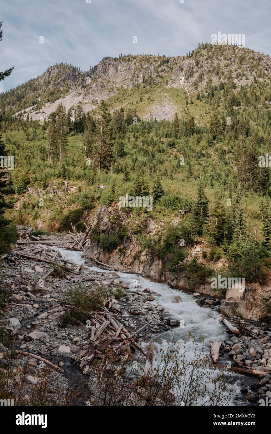 Mount rainier national park mt rainier hi-res stock photography and ...