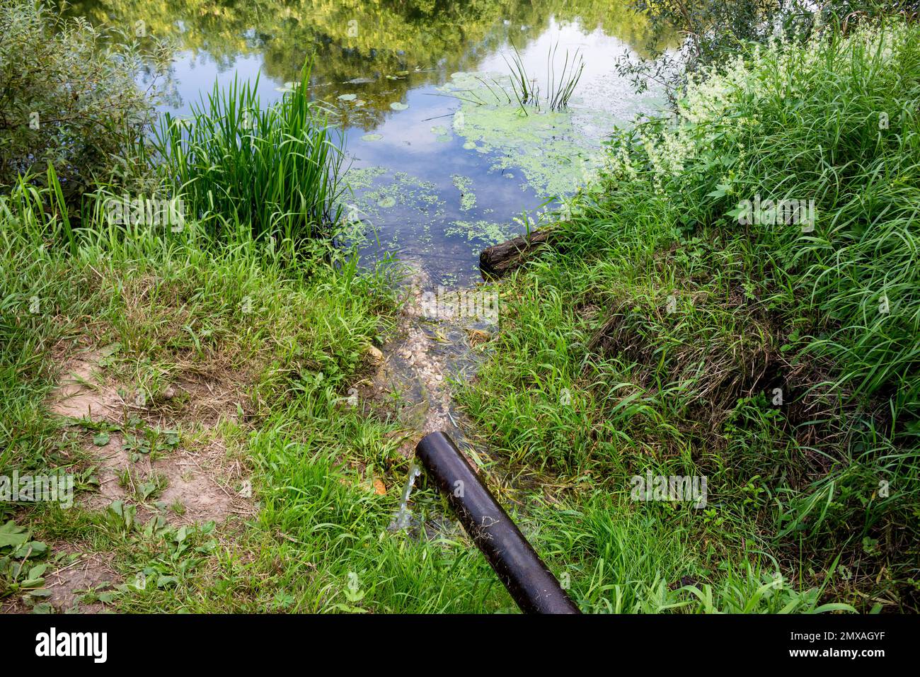 Spring water flowing from a metal pipe next to a pond Stock Photo - Alamy