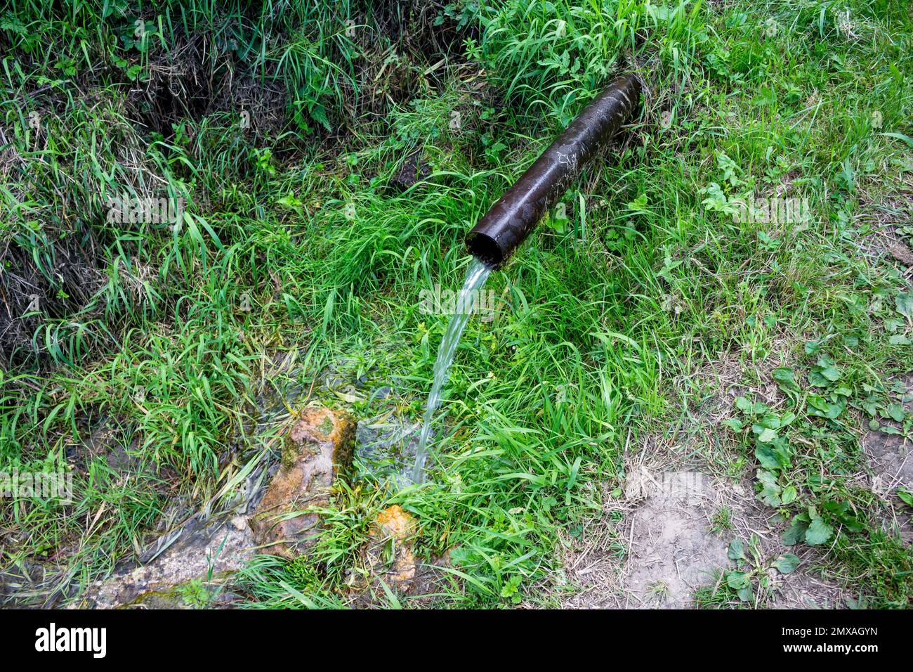 Spring water flowing from a metal pipe in nature Stock Photo - Alamy
