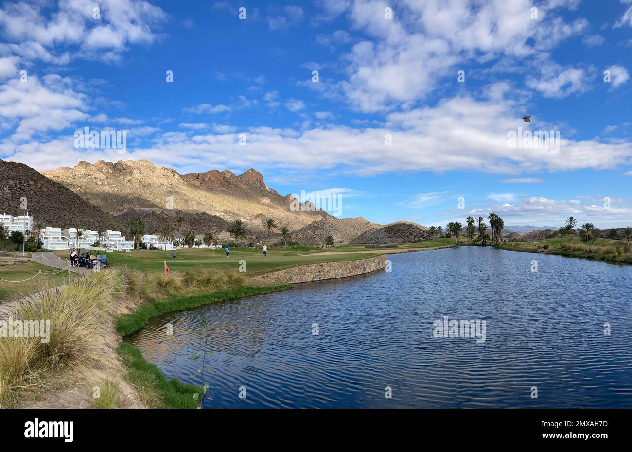 Aguilon Golf, golf course with palm trees and lake in front of the ...