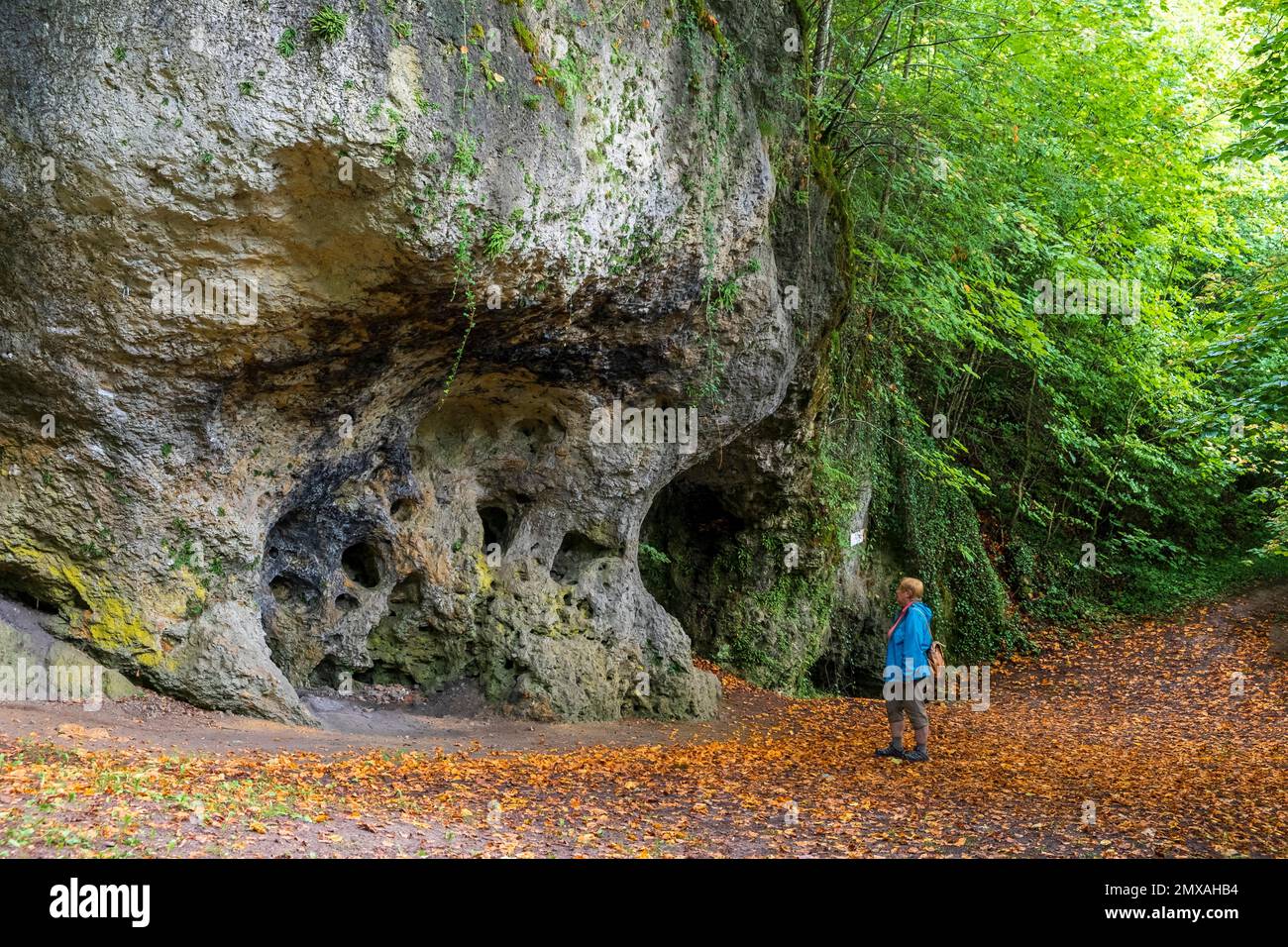 Schweizerhaus Cave, Aufsess, Upper Franconia, Franconia, Bavaria ...