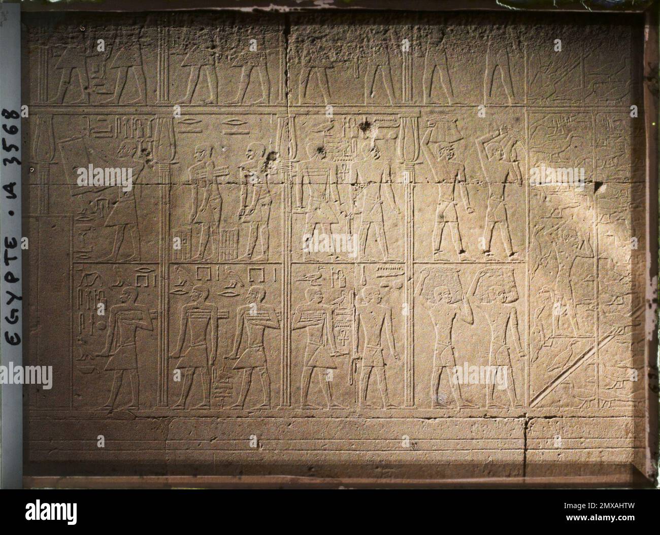 Saqqarah, Egypt, Africa Bas-reliefs representing scenes of stewardship ...