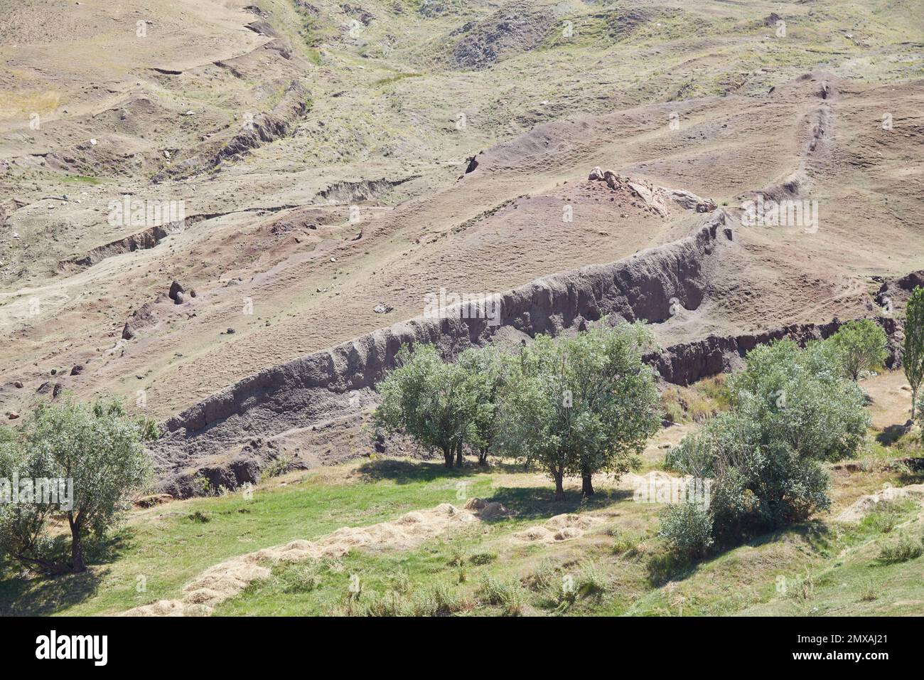 The Supposed Original Site Where Noah's Ark Landed After the Flood ...
