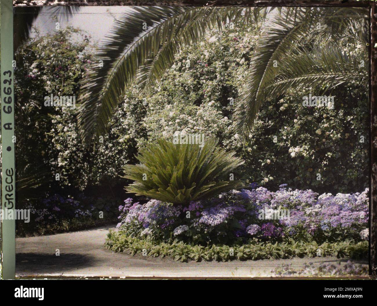 Corfu, Greece the Achilleion - Les Jardins , 1913 - Balkans, Italy ...