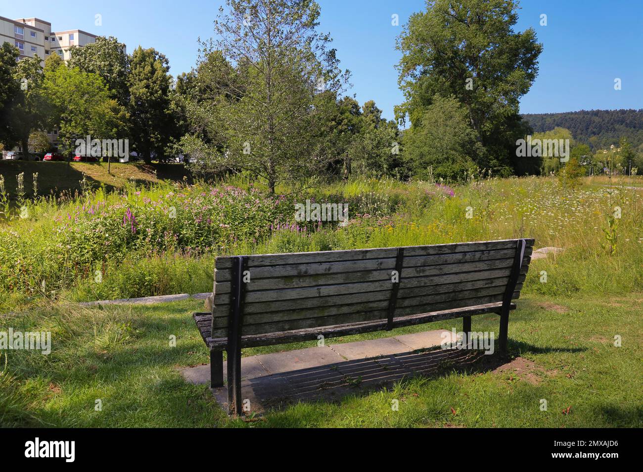 Wooden bench in the Donaupark, Tuttlingen, Baden-Wuerttemberg, Germany ...