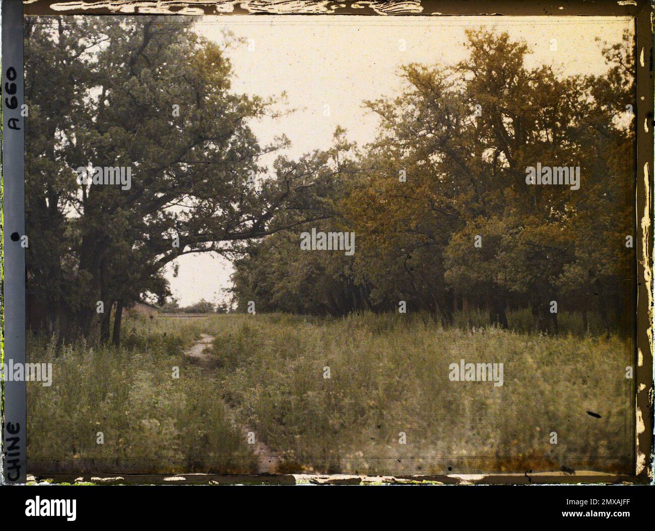 Beijing, China Xiannongtan ("Temple of Agriculture") , 1912 - China ...
