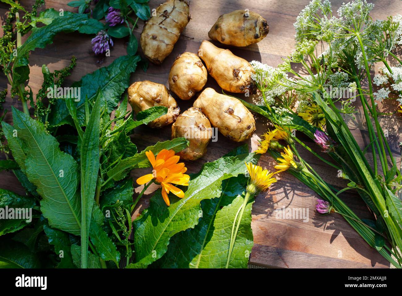 Baden cuisine, jerusalem artichoke (Helianthus tuberosus), earth apple ...