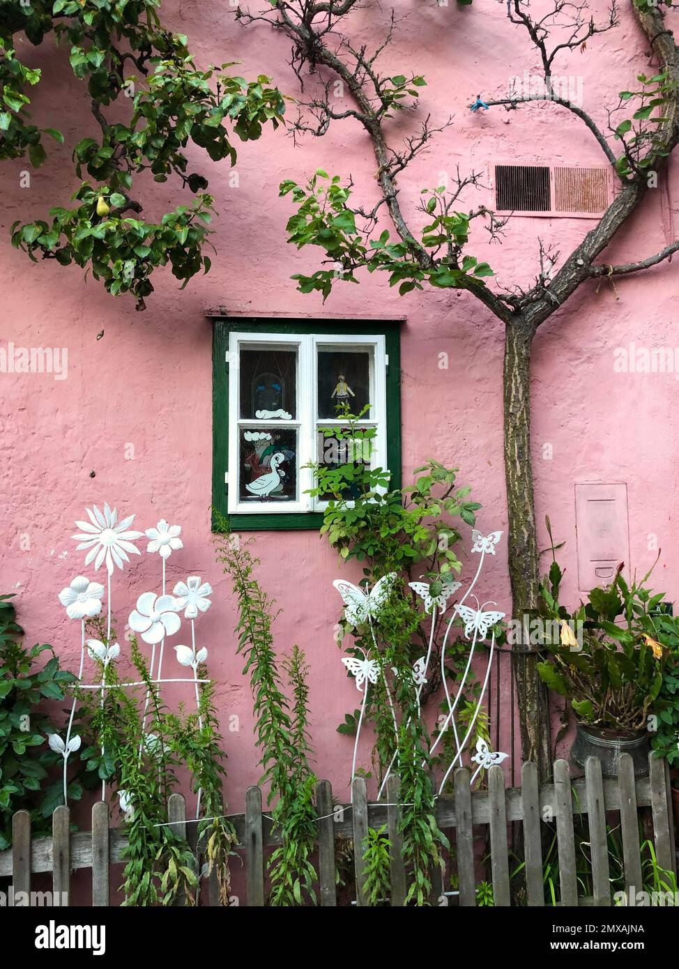 Nice pink house front with window, garden fence and plants, Hallstatt ...