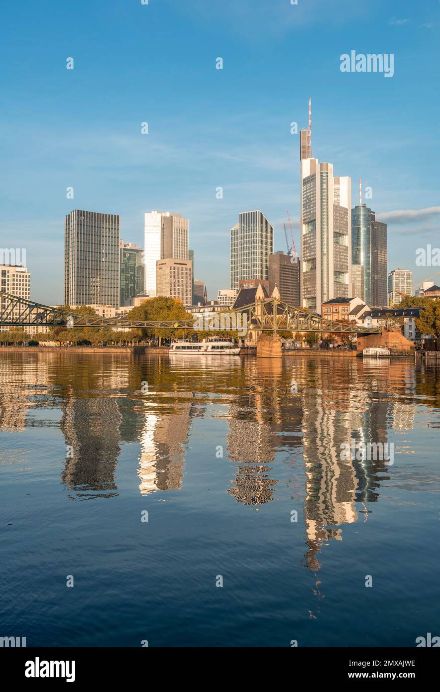 Excursion boats on the river bank, view over the Main, skyline ...