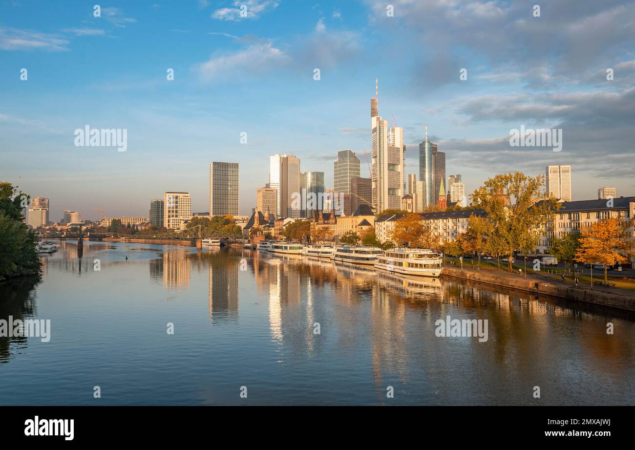 Excursion boats on the river bank, view over the Main, skyline ...
