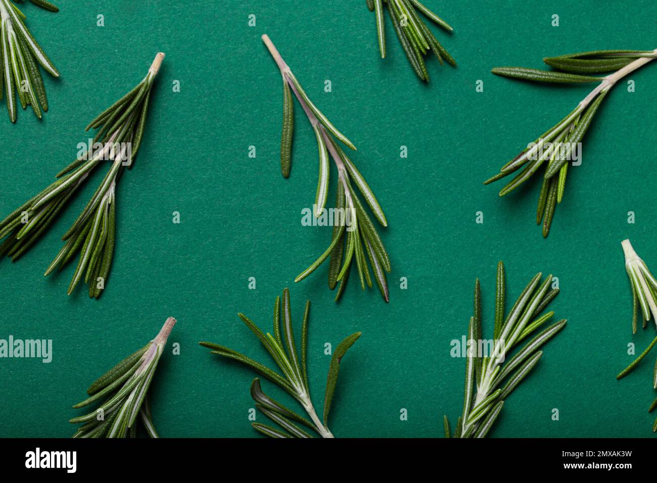 Rosemary food background with rosemary branches on clean simple minimal ...