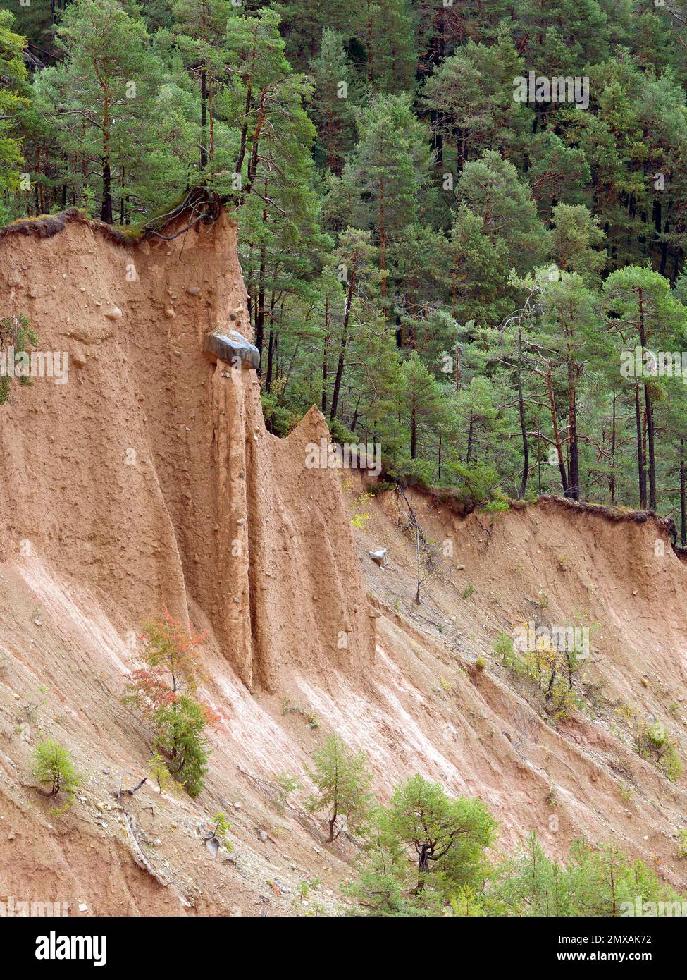 Steep scarp with earth pyramid, Salten, Jenesien, Bozen, Bolzano, South ...