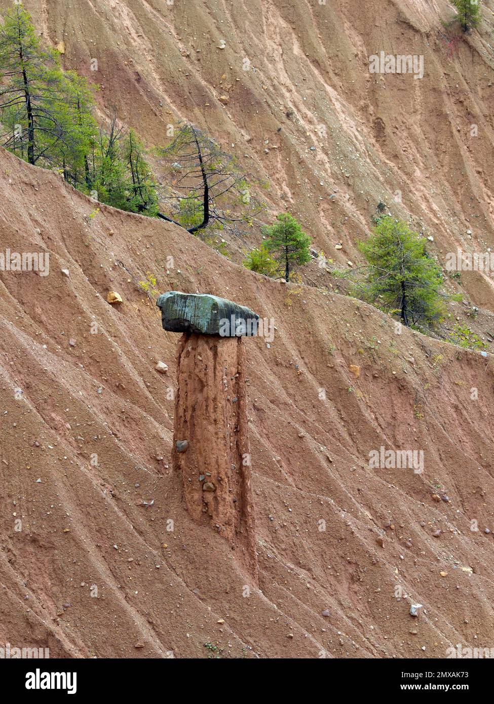 Earth pyramids at Salten, Salten, Jenesien, Bolzano, South Tyrol, Italy ...
