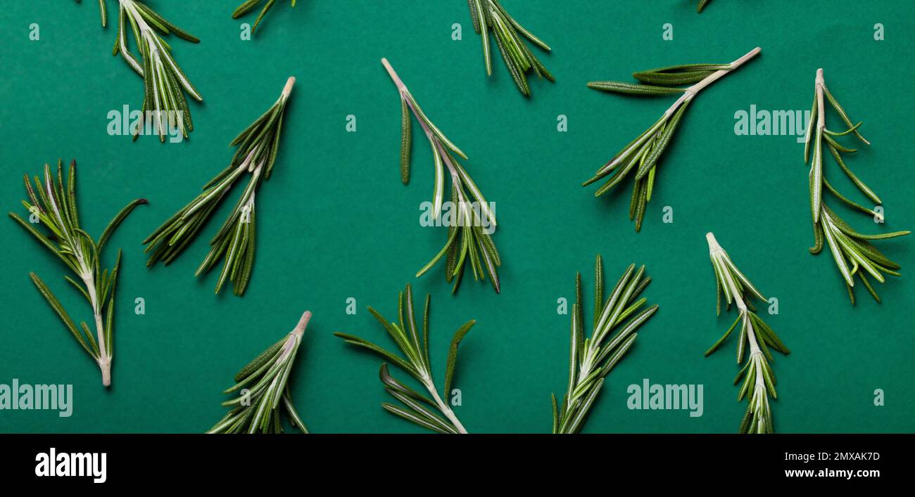 Rosemary food background with rosemary branches on clean simple minimal ...