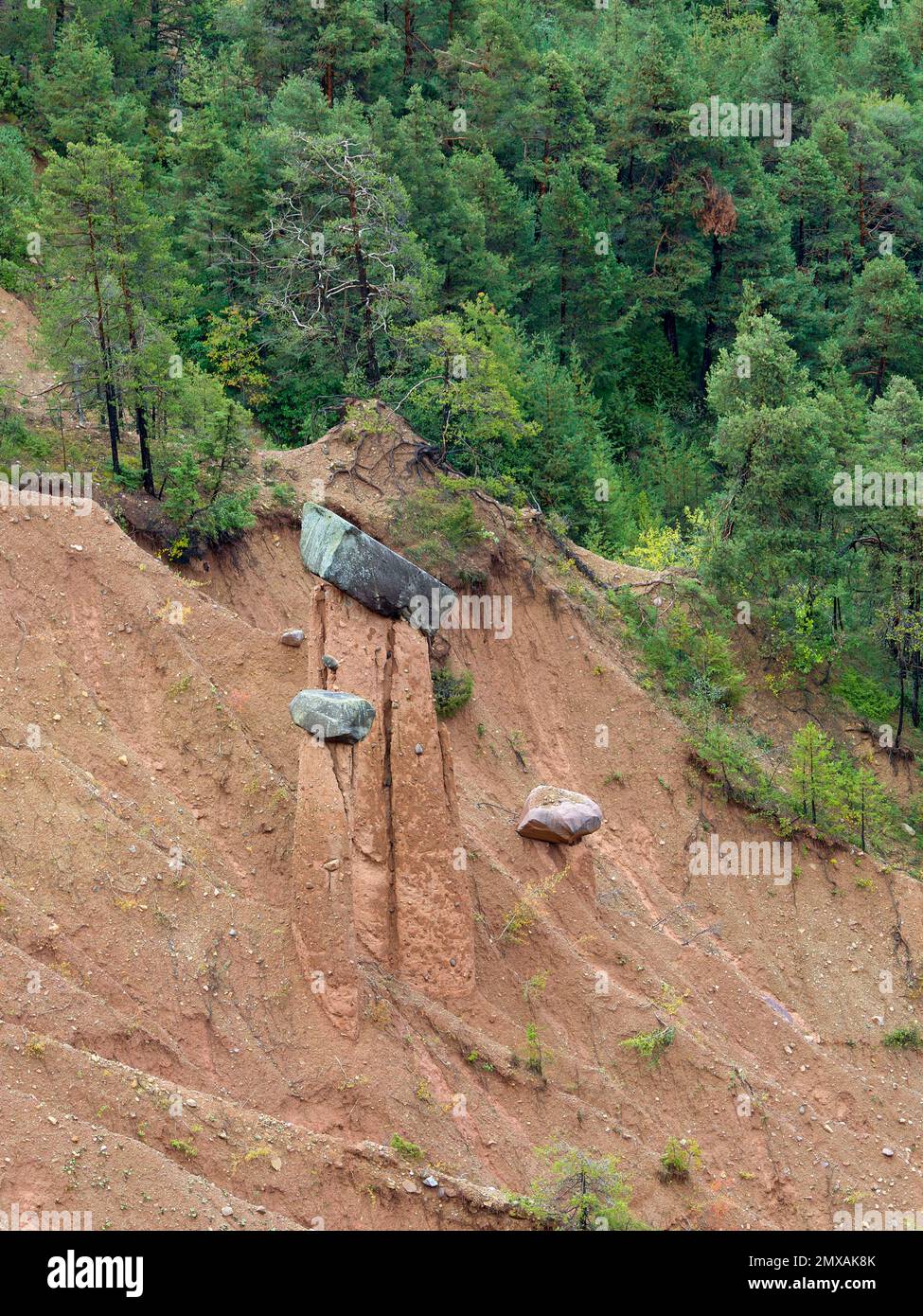 Earth pyramids at Salten, Salten, Jenesien, Bolzano, South Tyrol, Italy ...