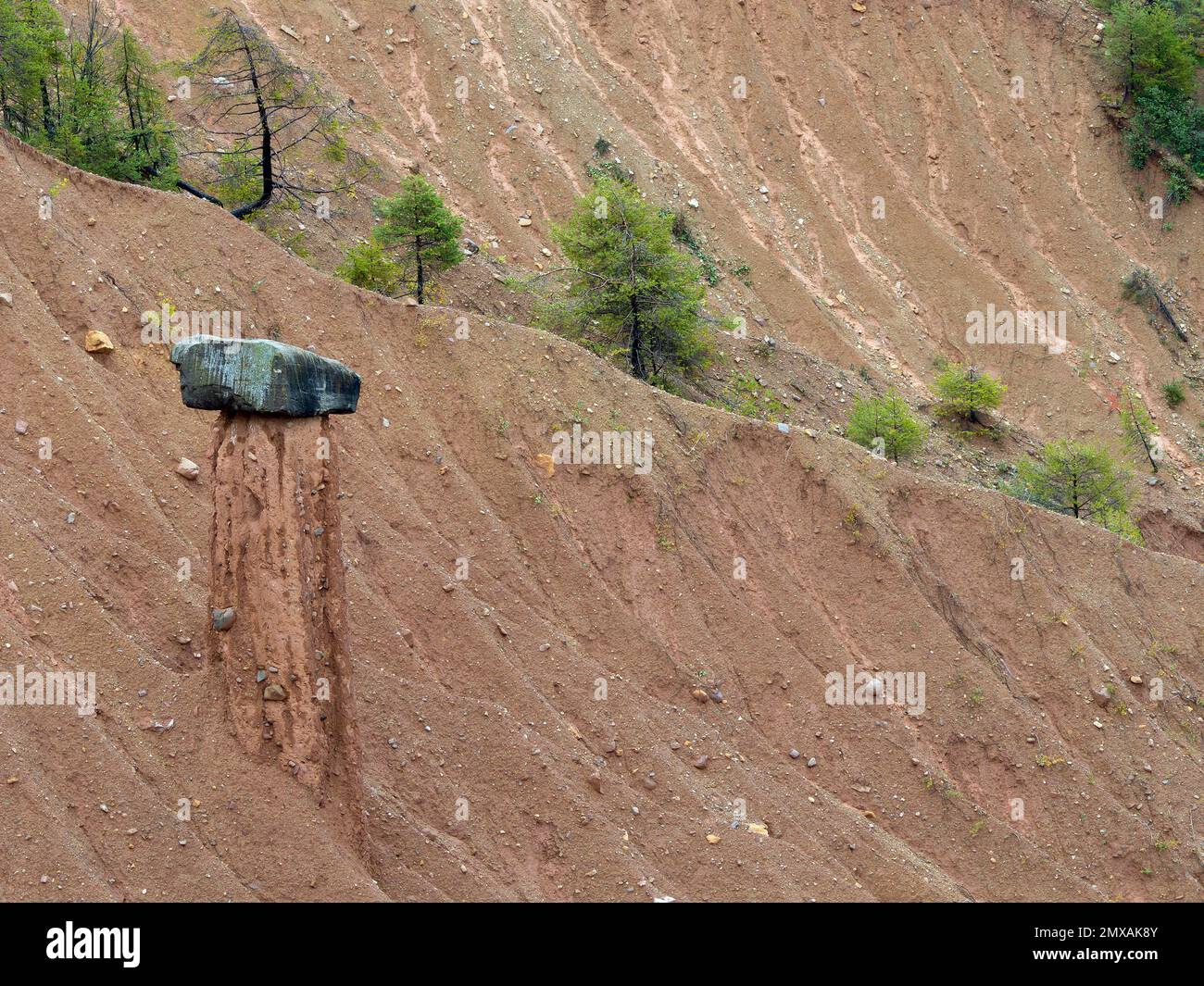 Earth pyramids at Salten, Salten, Jenesien, Bolzano, South Tyrol, Italy ...
