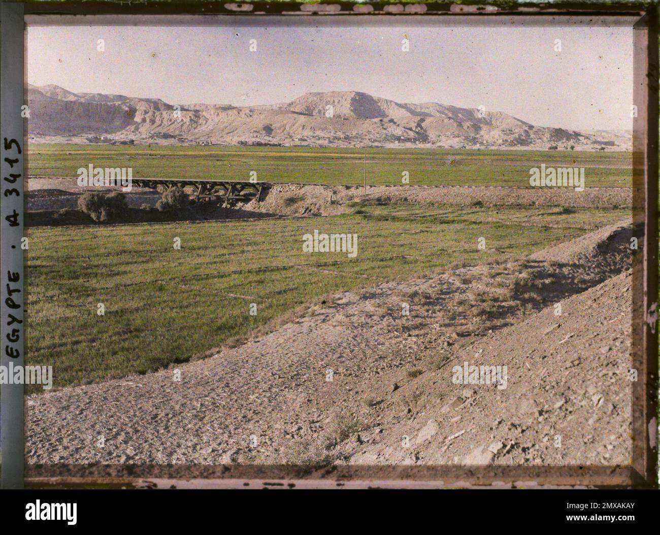 Louqsor, Egypt, Africa Champs cultivated near the city on the road to ...
