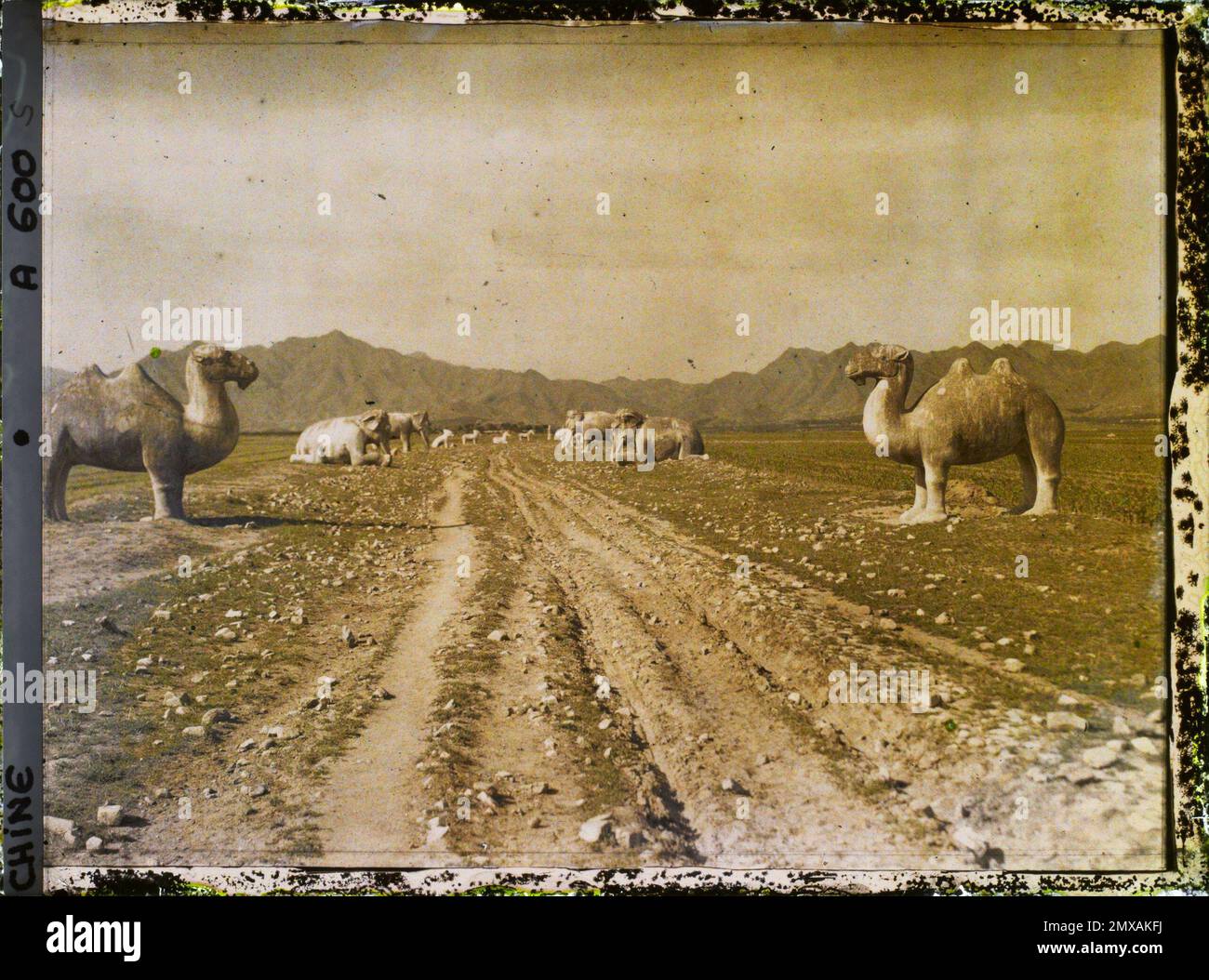 Changping, China Ming Shisanling ("Thirteen Ming Tombs") , 1912 - China ...