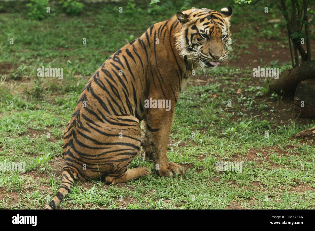 Look sideways hi-res stock photography and images - Alamy