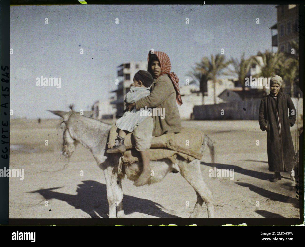 Port-Said, Egypt, Africa two children on a donkey posing for the ...