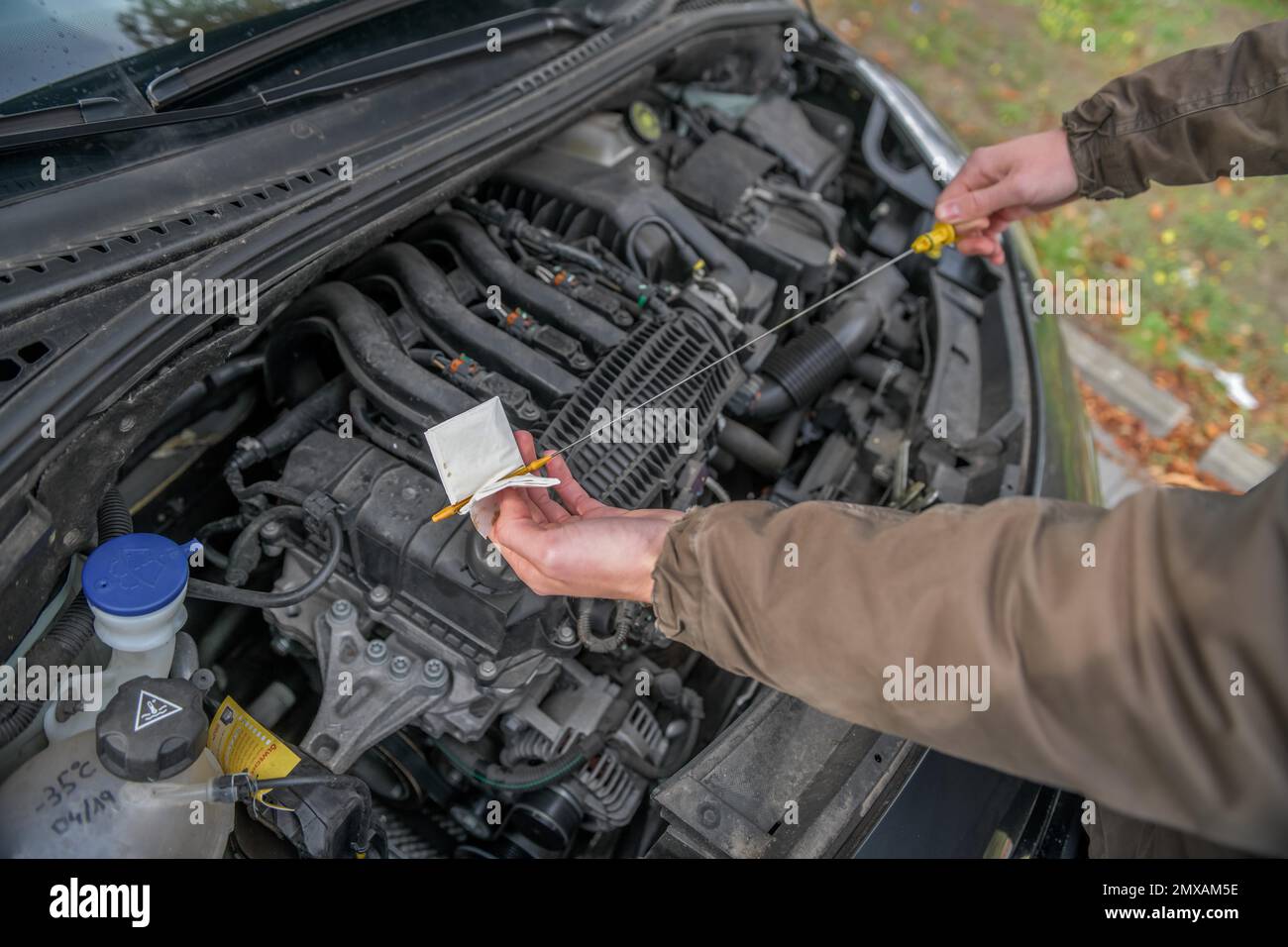 Car maintenance check level hi-res stock photography and images - Alamy