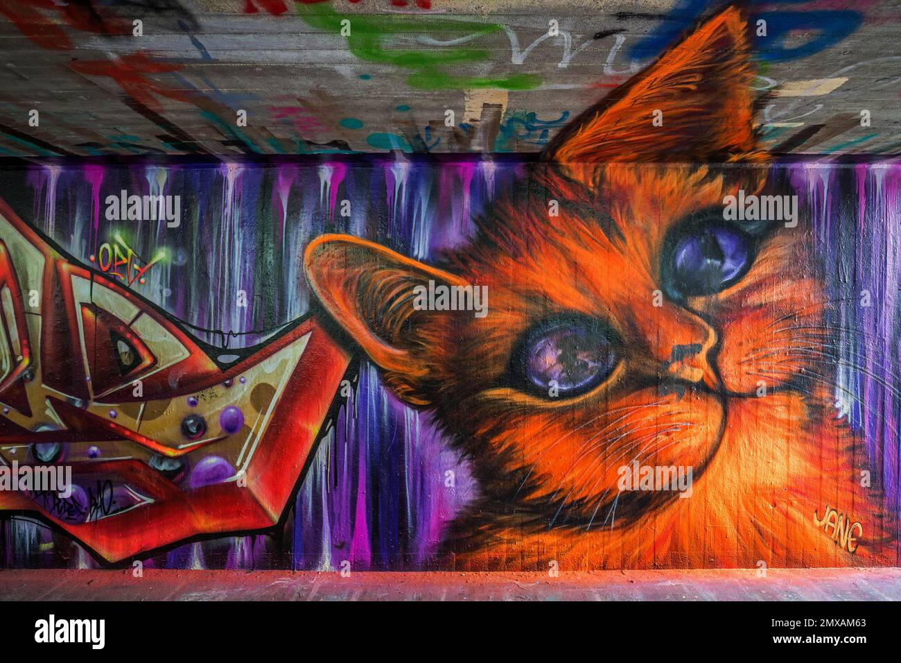 Street art, graffiti in a subway, Dossenheim, Baden-Wuerttemberg ...