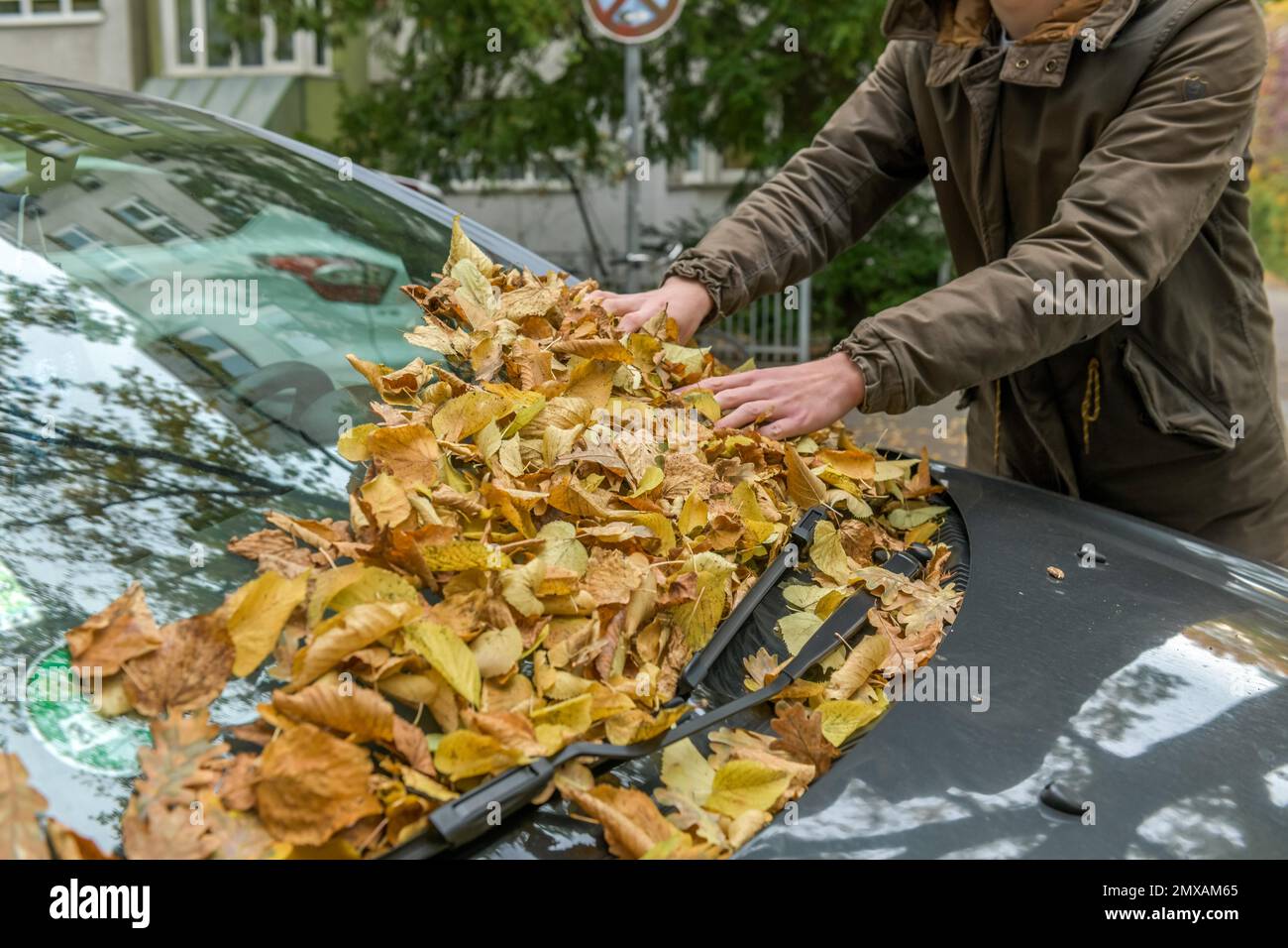 Windscreen, Car, Autumn, Leaves Stock Photo - Alamy