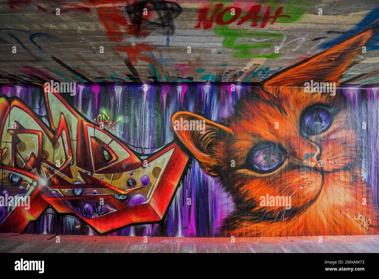 Street art, graffiti in a subway, Dossenheim, Baden-Wuerttemberg ...