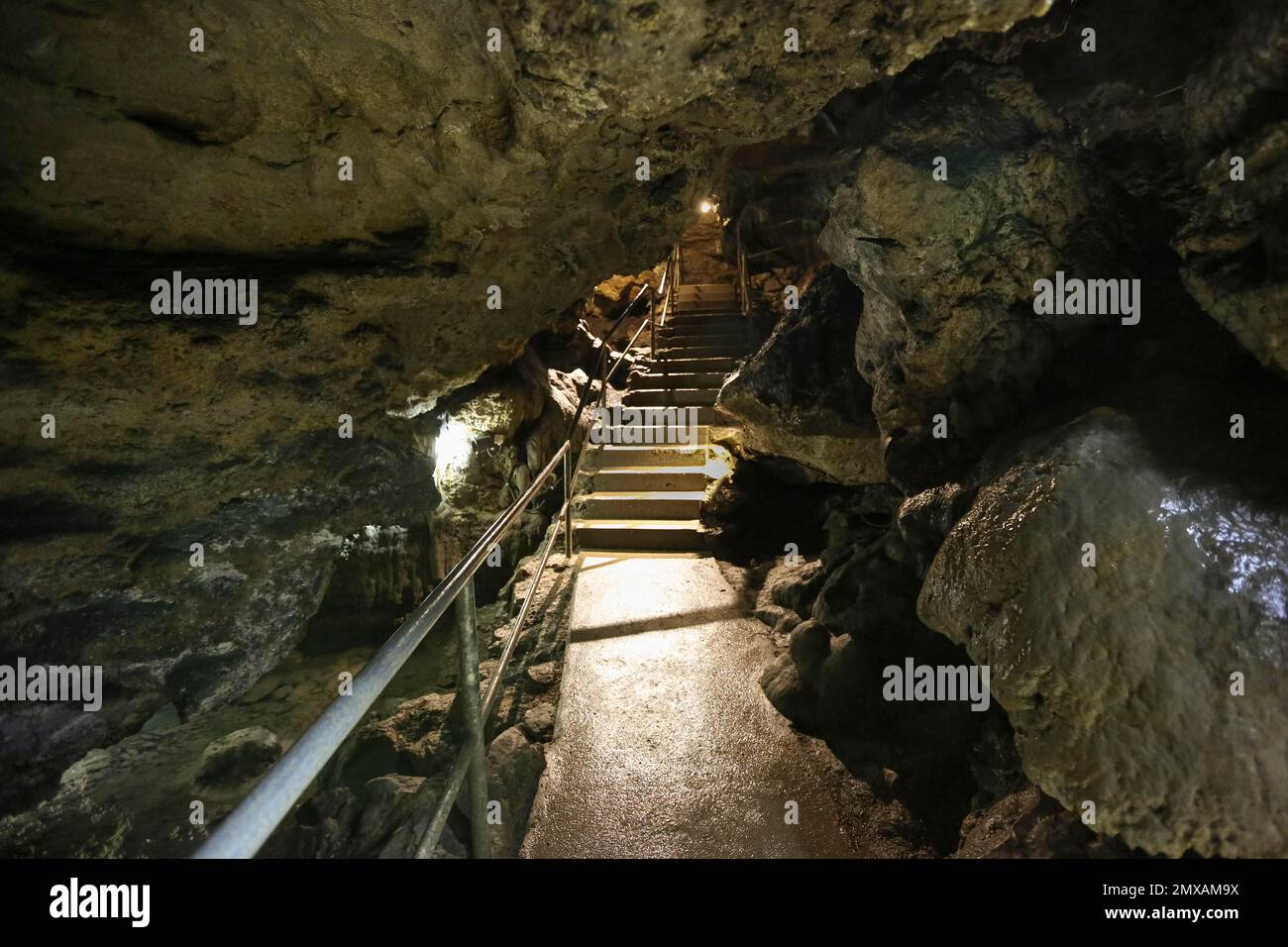 Nebelhoehle, dripstone cave, path, stairs, metal railing, handrail ...