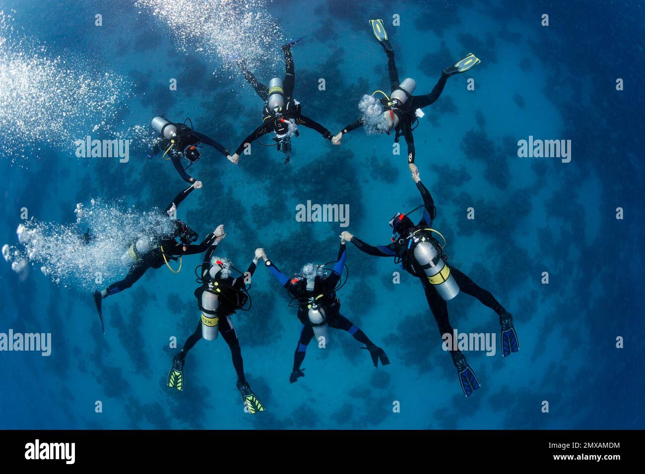 Divers form diving star while diving down, star, from above, Port ...