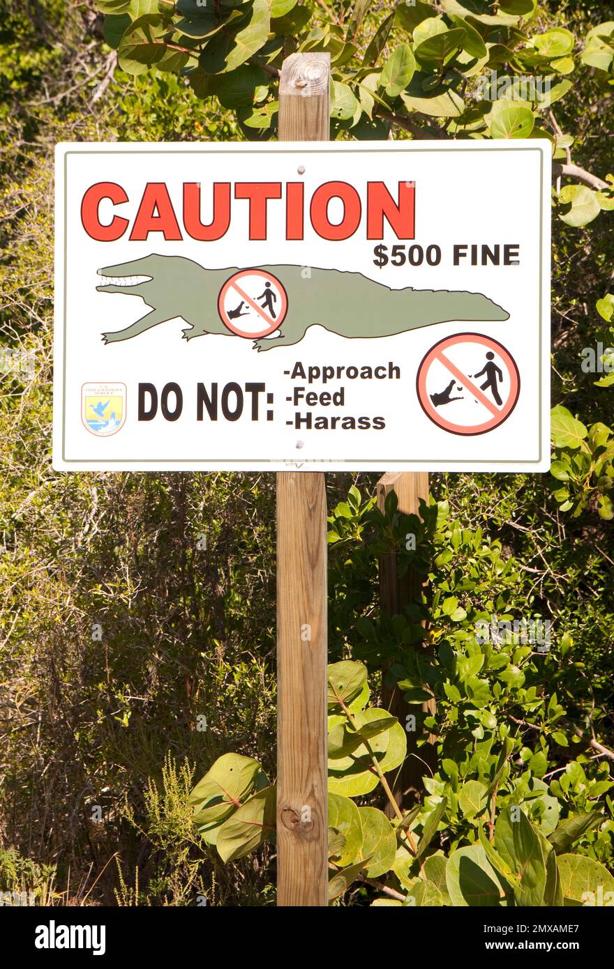 Warning sign about alligators at Ding Darling National Wildlife Refuge ...