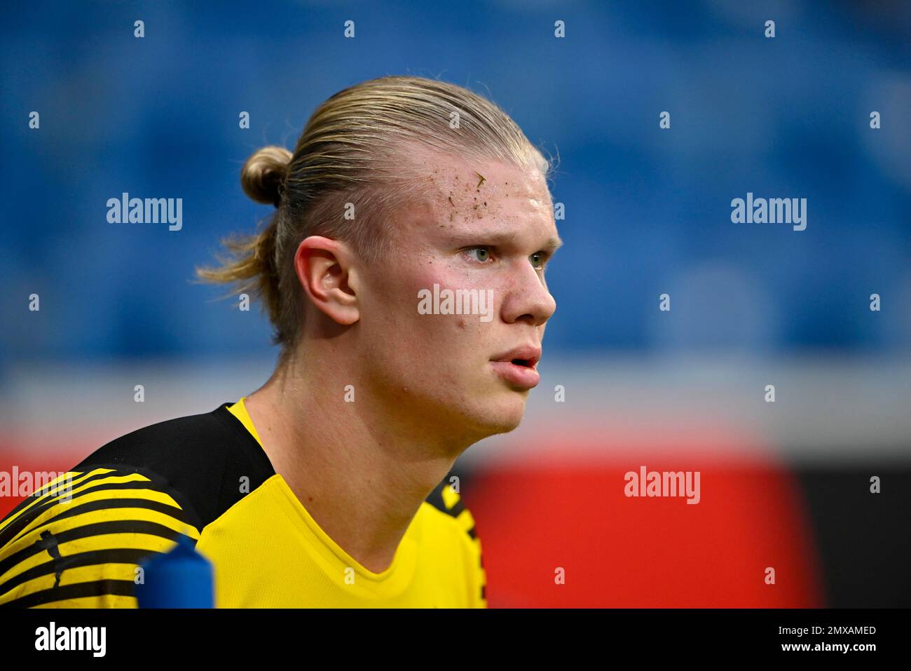 Portrait Erling Haaland, BVB Borussia Dortmund, PreZero Arena, Sinsheim ...
