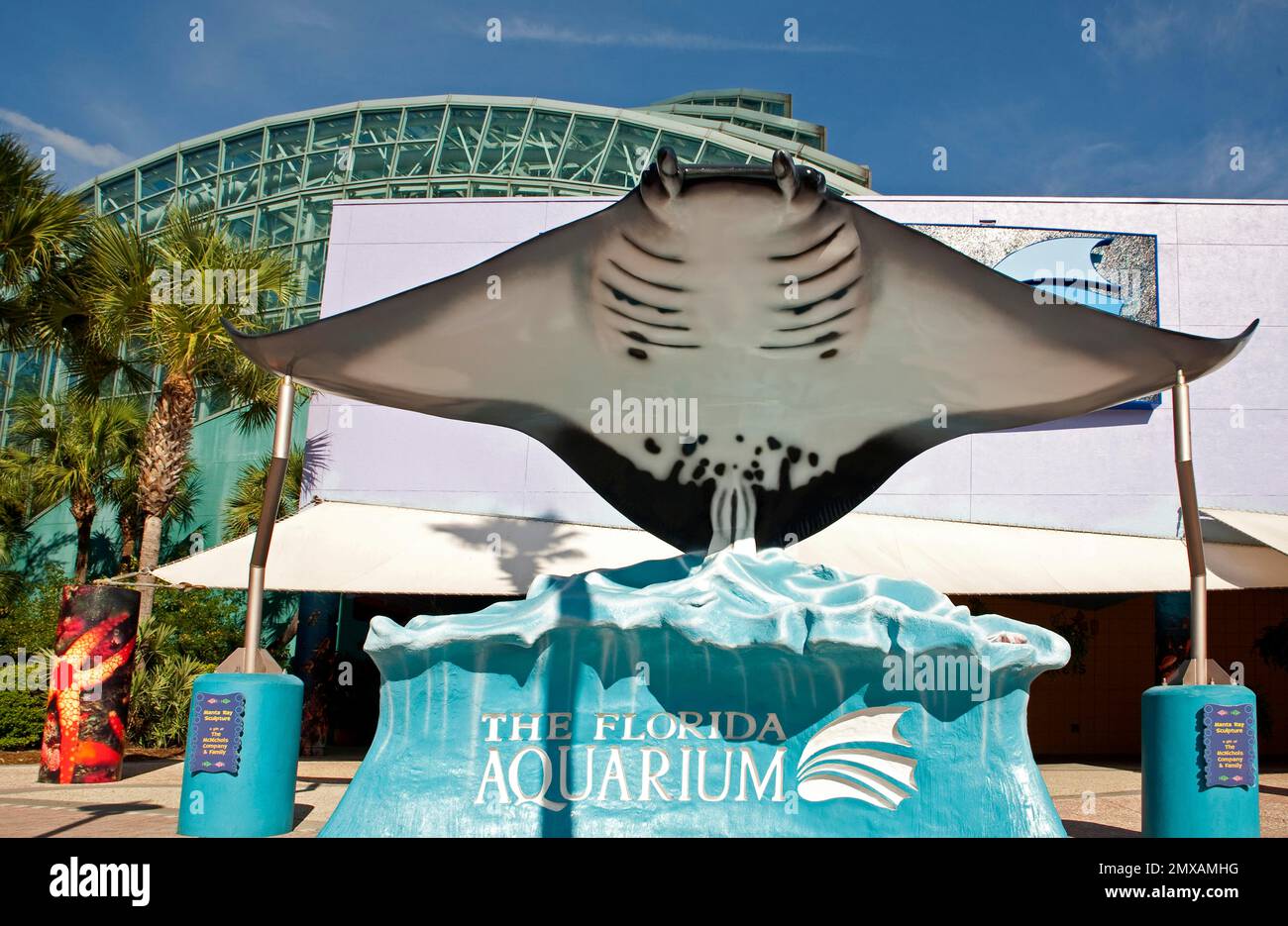 Tampa florida aquarium hi-res stock photography and images - Alamy