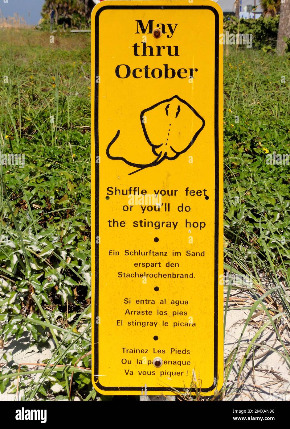 Warningsign vor Stingray, Florida/ warning sign to stingray hop ...