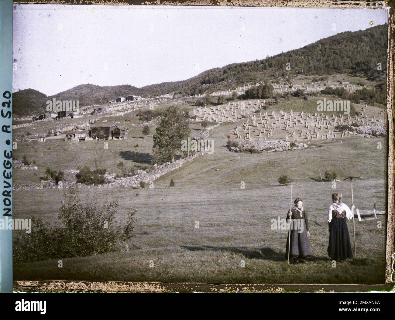 Vinje, Norway Champs in Haukeligrend near Edland , 1910 - Voyage of ...