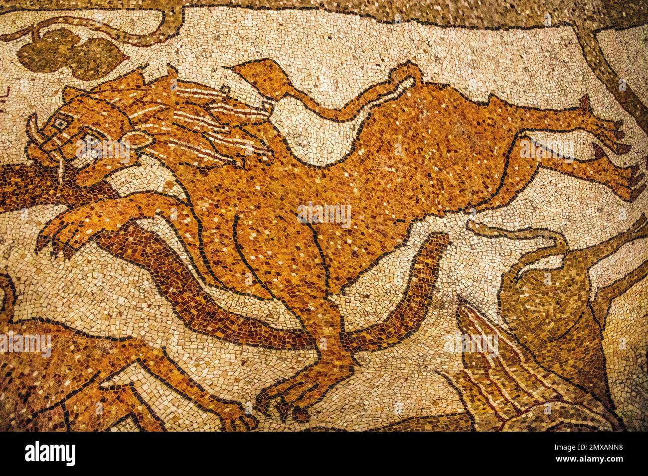 Floor mosaic in the Cathedral dell' Annunziata, Otranto, Apulia ...