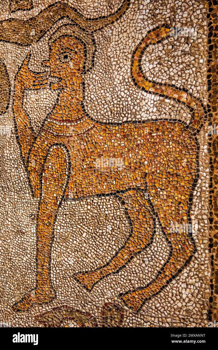 Floor mosaic in the Cathedral dell' Annunziata, Otranto, Apulia ...