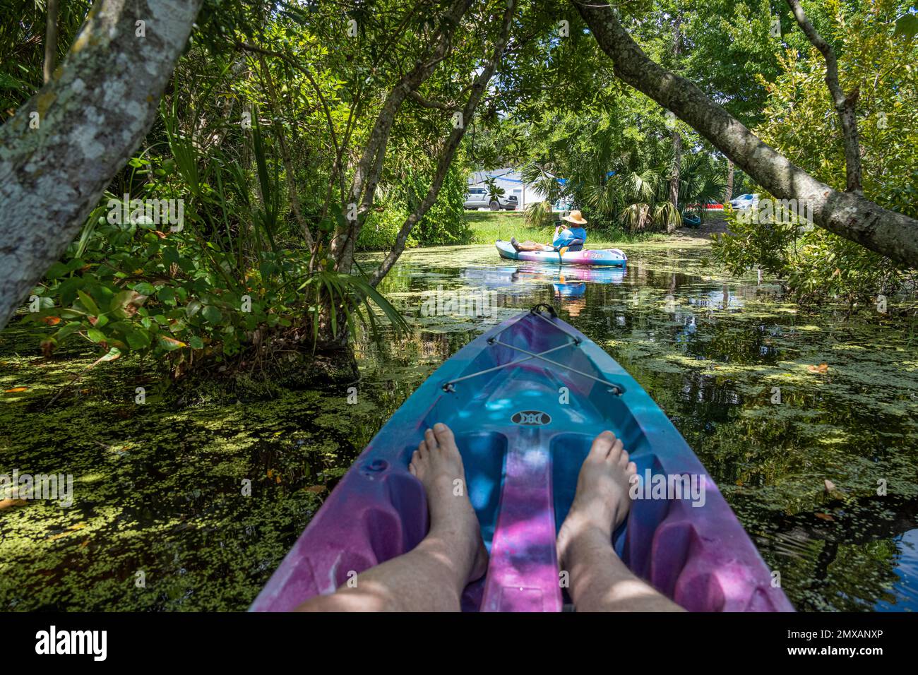 Kayaker view beneath the tree canopy near the North Guana Outpost ...