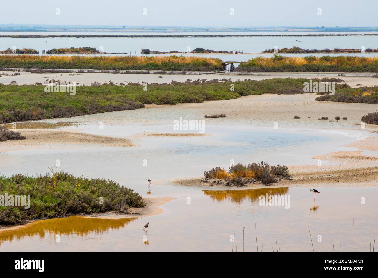 Salina Margherita of Savoy Nature Reserve, Puglia, Apulia, Italy Stock ...